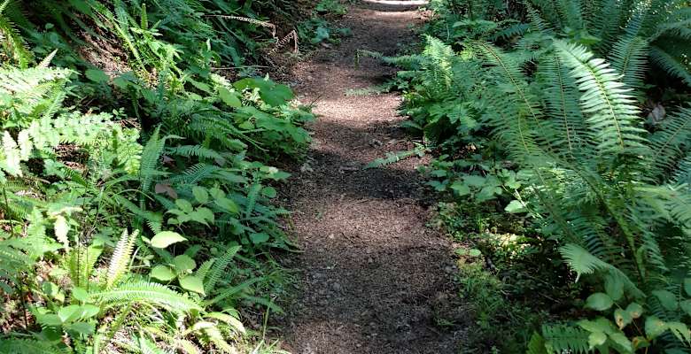 Discover the best RV campgrounds near Sekiu, Washington with a private ...