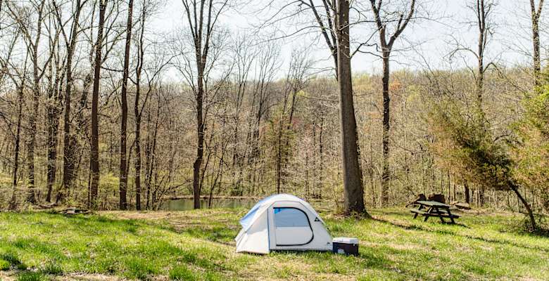 Discover the 40 best lakeside campgrounds near Dover, Delaware