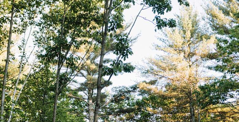 Camping in Vermont: The 40 Best Campgrounds - Hipcamp