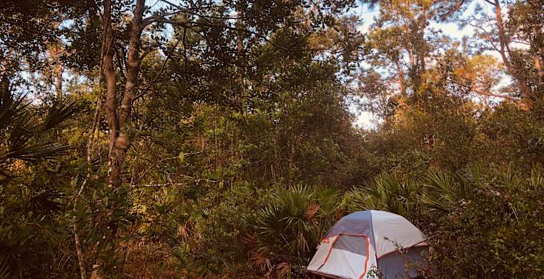 Discover the 40 best campgrounds near Cocoa Beach, Florida