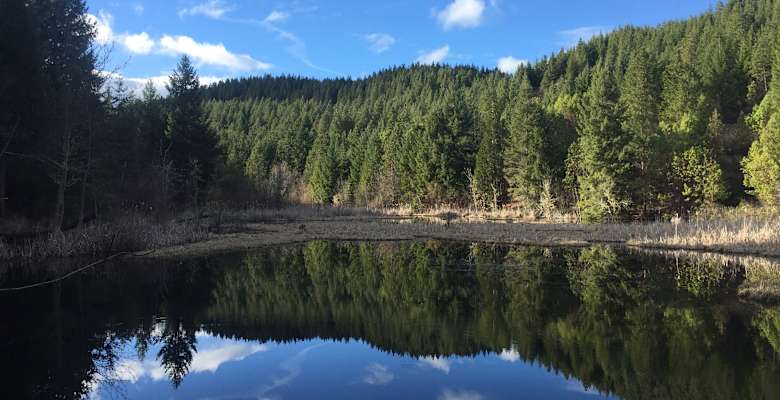 Discover the best waterfall campgrounds in Southern Oregon