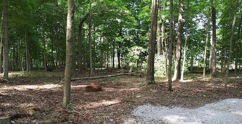 Discover the best river, stream, or creek campgrounds near Camp ...