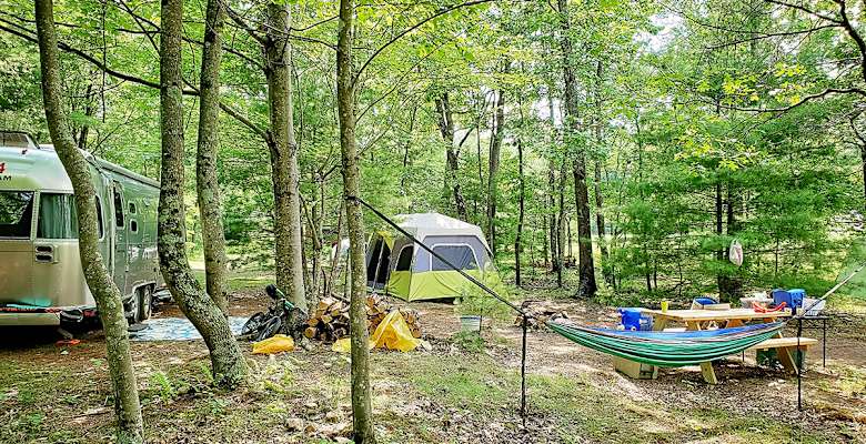 Discover the best RV campgrounds near Elkins, West Virginia