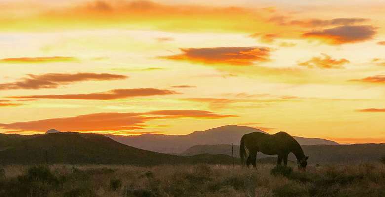 Discover the best desert campgrounds near Owyhee, Nevada