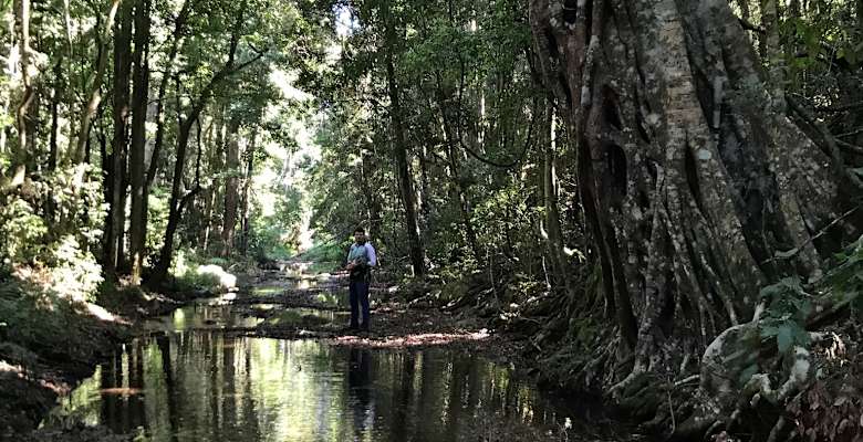 Discover the best lakeside campgrounds near Springwood, Queensland with ...