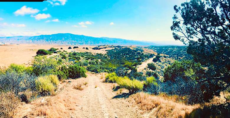 Discover the best cave campgrounds near Maricopa, California