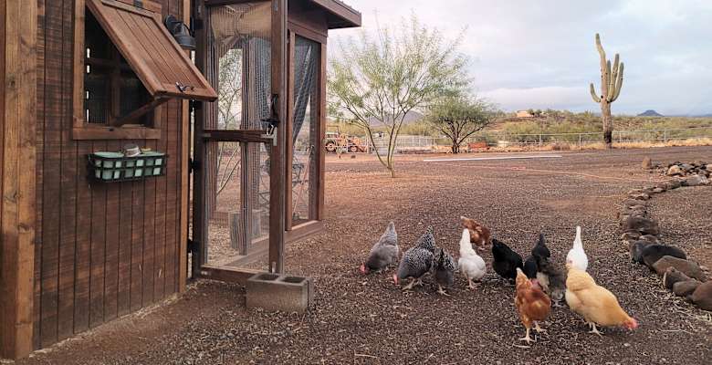 Discover the best campgrounds near Claypool, Arizona with wifi provided