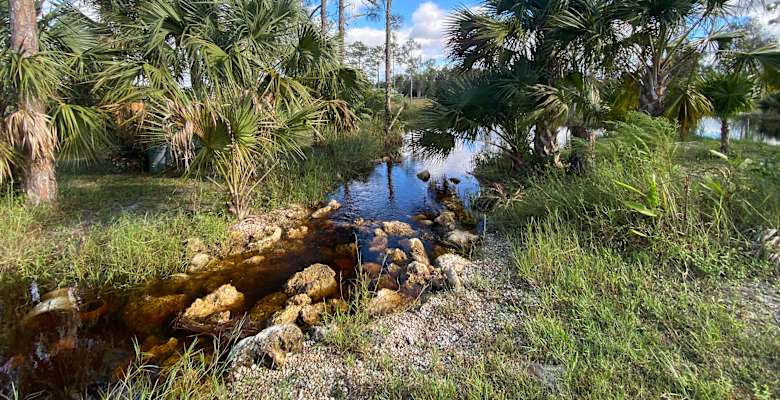 Lake Camping in Captiva, Florida, US: 12 Best Lake Campsites 2023 | Hipcamp