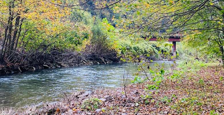 Discover the best campgrounds near Moosic, Pennsylvania with snow sports