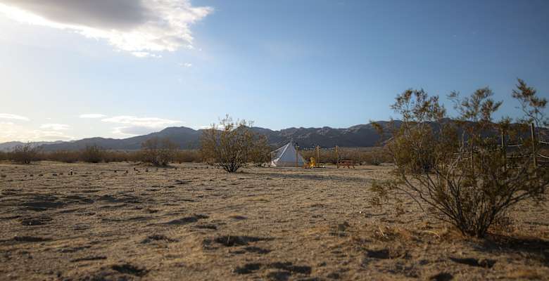 Discover the best desert campgrounds near Twentynine Palms, California