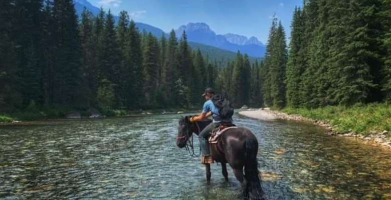 Camping in Kimberley, BC, CA: 12 Best Campgrounds 2023 | Hipcamp