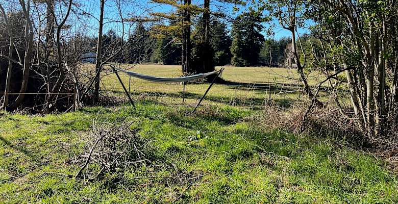 Discover the best campgrounds near Gold Beach, Oregon with wifi provided