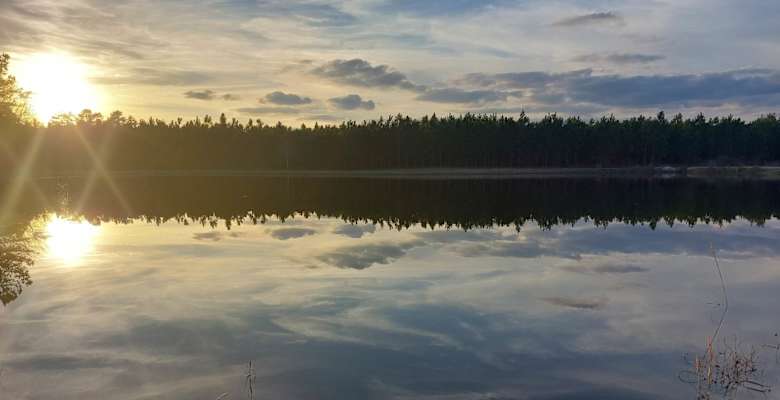 Discover the best forest campgrounds near Vidalia, Georgia