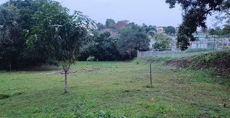 Discover the best campgrounds near Humacao, Puerto Rico with swimming