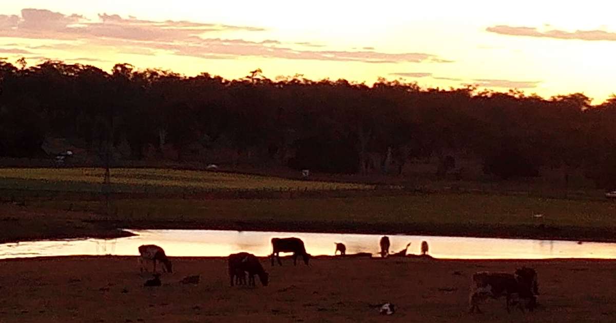 Discover the 20 best campgrounds near Nanango, Queensland