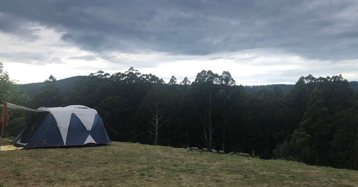 Discover the 20 best campgrounds near Warburton, Victoria