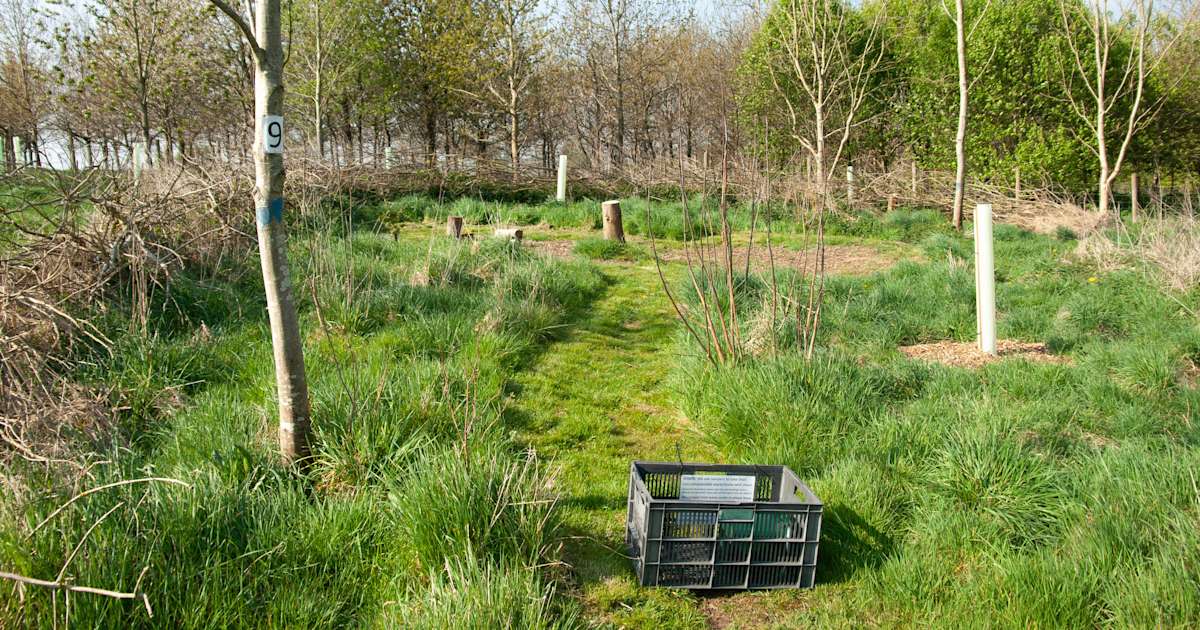 Rodney Stoke Camping: Best Campsites Near Rodney Stoke, Somerset | Hipcamp