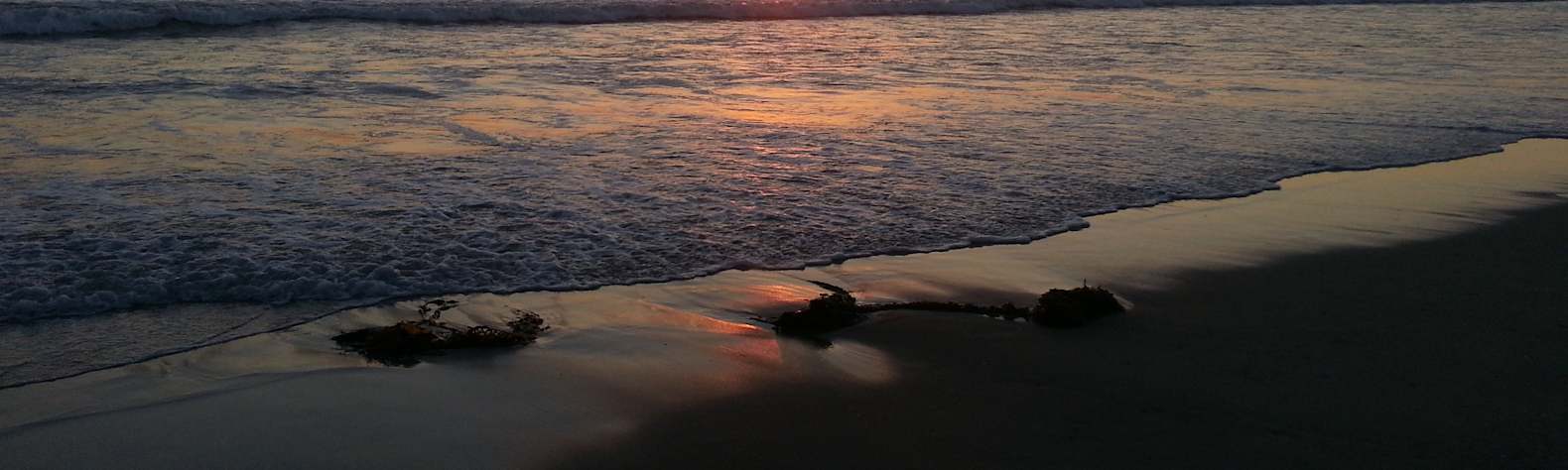 Best camping in Silver Strand State Beach, CA 2026