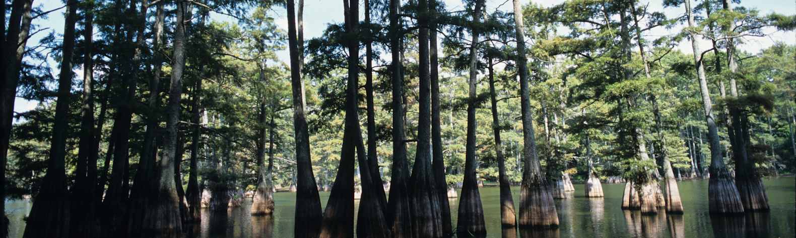 Best camping in Big Thicket National Preserve, TX 2026