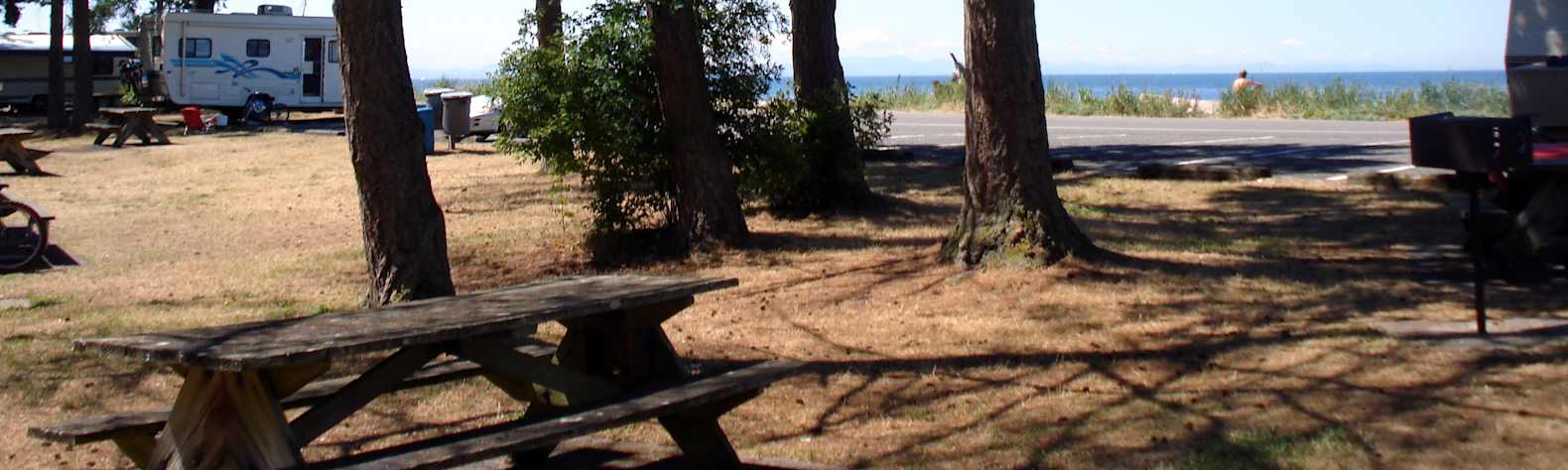 Best camping in Birch Bay State Park, WA 2025