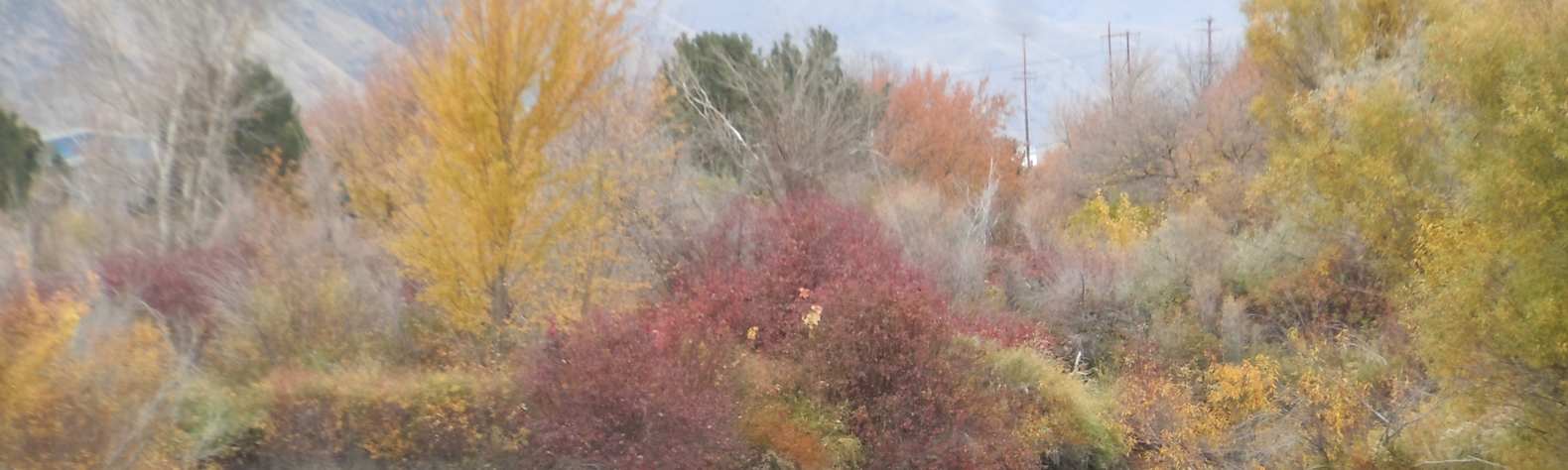 Best camping in Wenatchee Confluence State Park, WA 2025