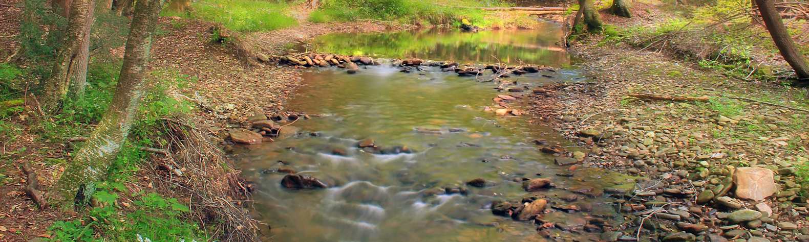 Best camping in Hyner Run State Park, PA 2025