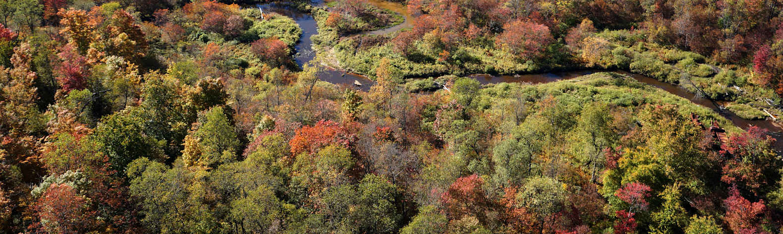 Best camping in Kinzua Bridge State Park, PA 2025