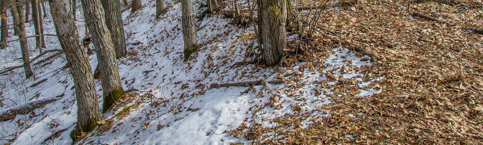 Best camping in Sand Dunes State Forest, MN 2025