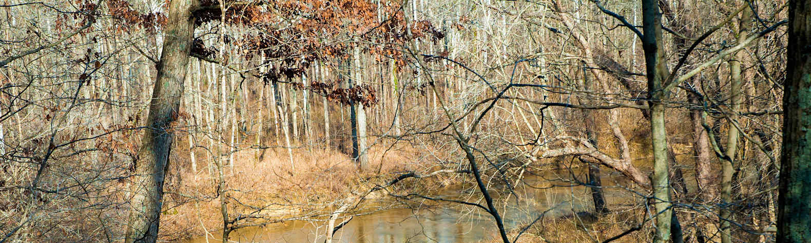 Best camping in Pike State Forest, IN 2026