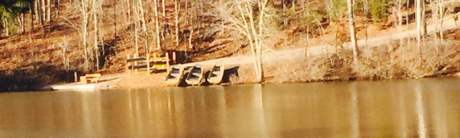 Best camping in Twin Lakes State Park Virginia, VA 2025