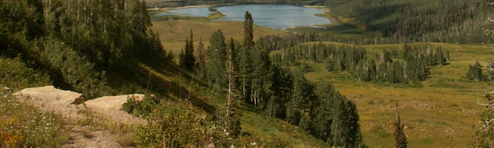 Best camping in Huntington Canyon Recreation Area, UT 2026