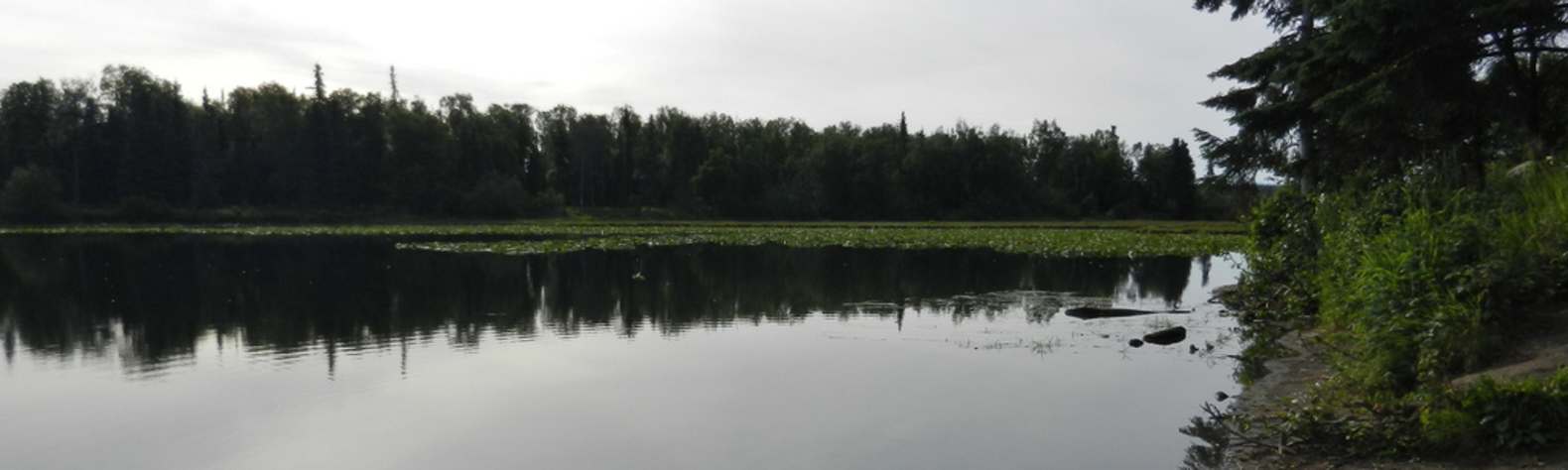 Best camping in Johnson Lake State Recreation Area, AK 2026