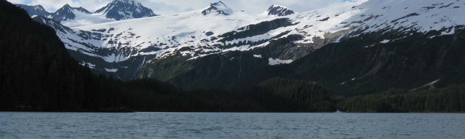 Best camping in Surprise Cove State Marine Park, AK 2025