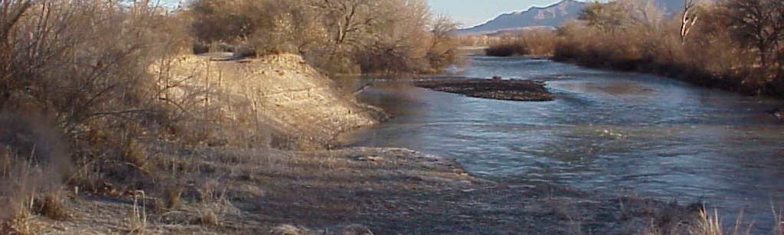 Best camping in Percha Dam State Park, NM 2026