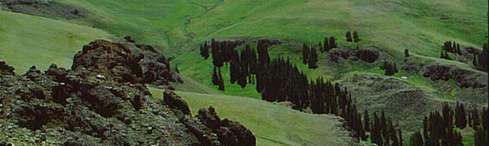 Best camping in Shoshone National Forest, WY 2026