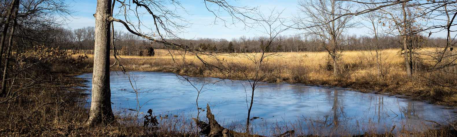 Best Camping in and Near Prairie State Park