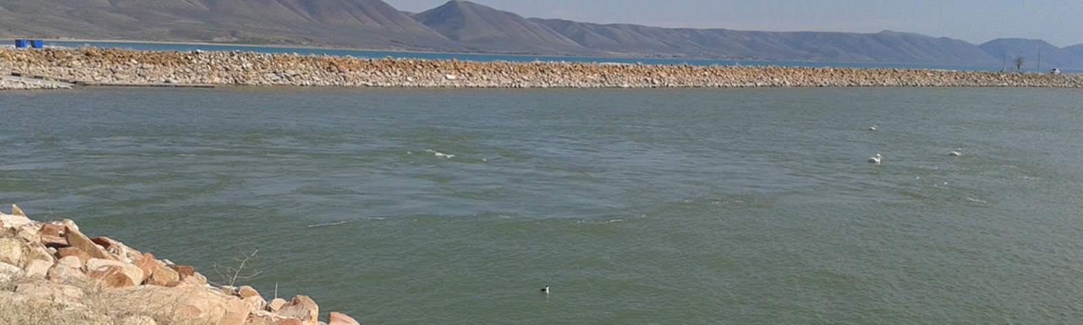 Best camping in Bear Lake State Park ID, ID 2025