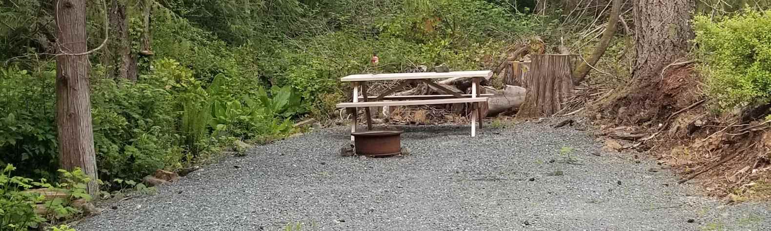 Best camping in East Sooke Regional Park, BC 2026