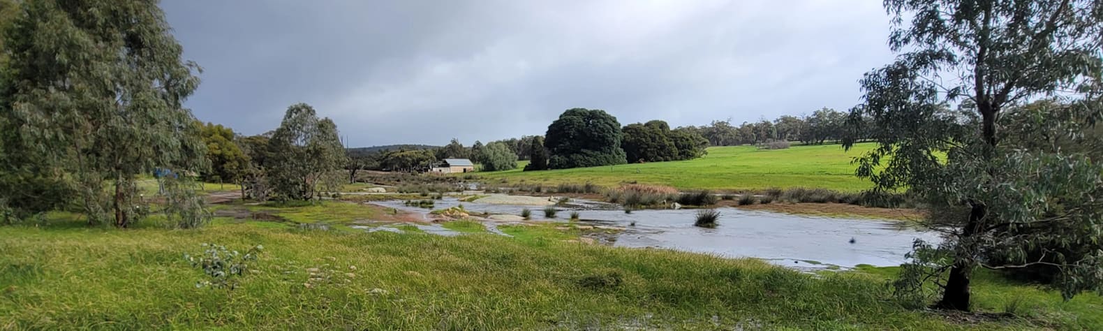 Best camping in Wandoo National Park, WA 2026