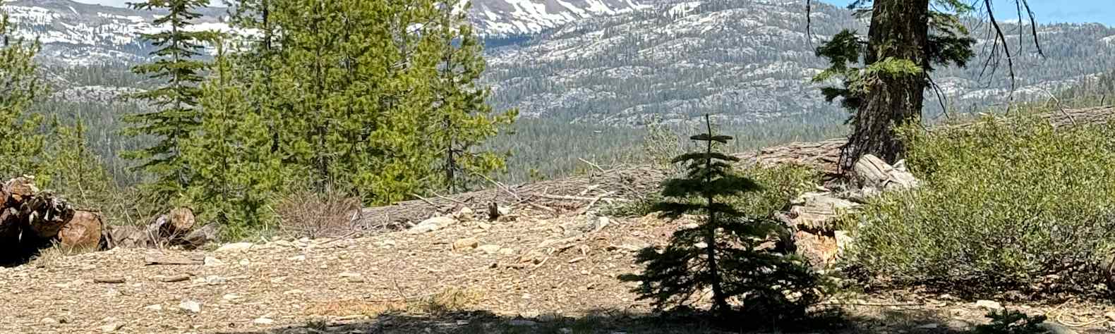 Best camping in Tahoe State Recreation Area, CA 2026