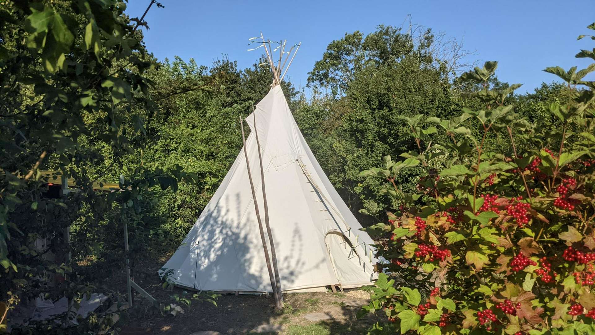 Kit Tipi - Milton Meadow - Hipcamp in Dorset, England