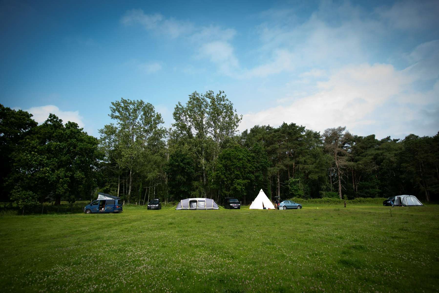 Shelley Oaks Farm Camping - Hipcamp in Hampshire, England