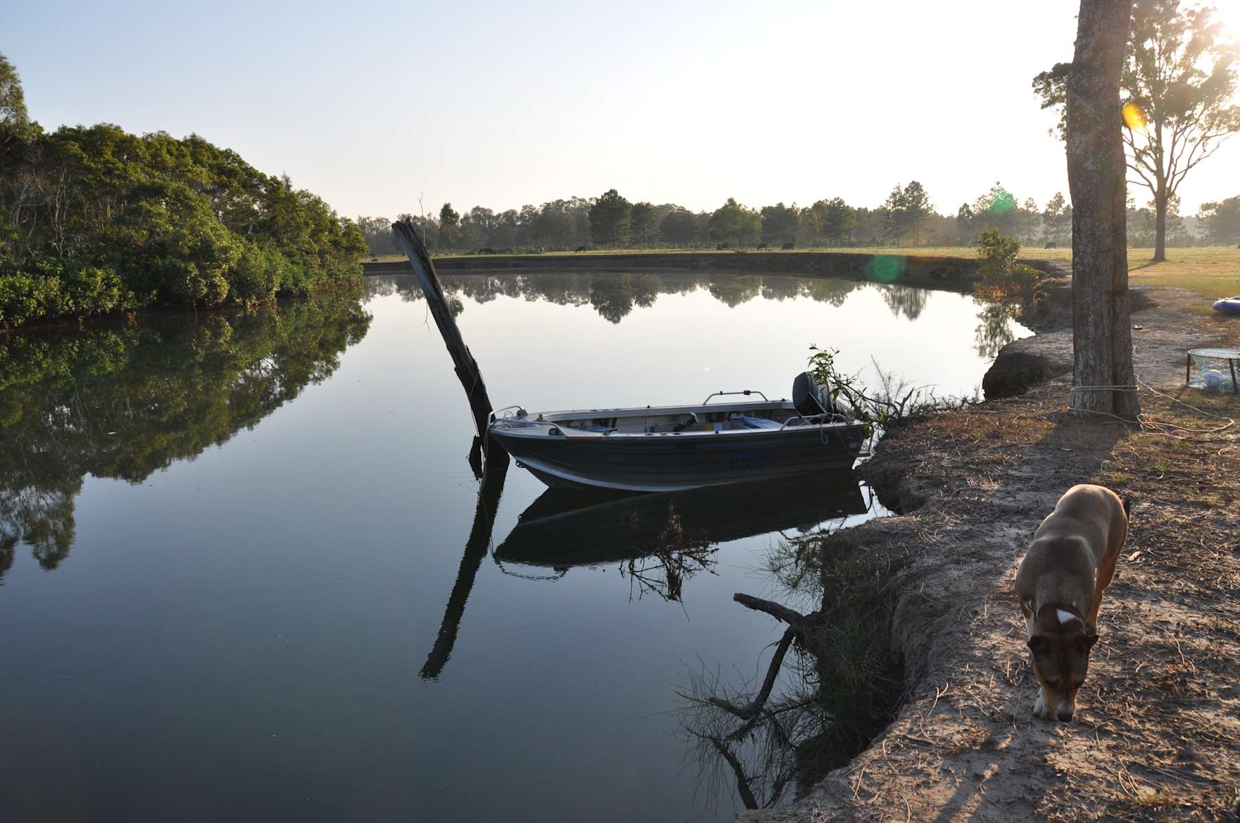 Elimbah Creek Camping - Hipcamp in Toorbul, Queensland