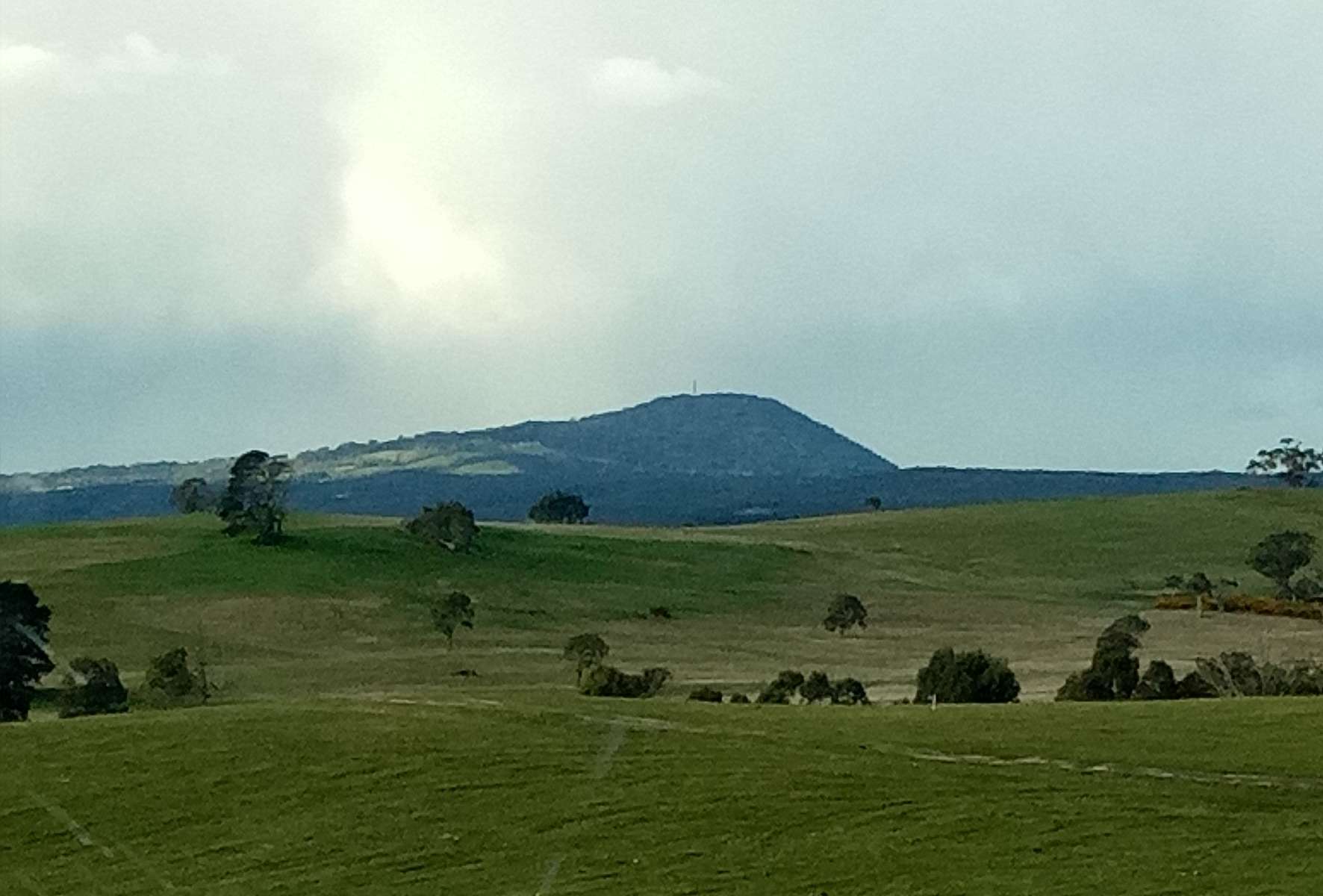 Carbine Grove - Bring your horse! - Hipcamp in Garibaldi, Victoria