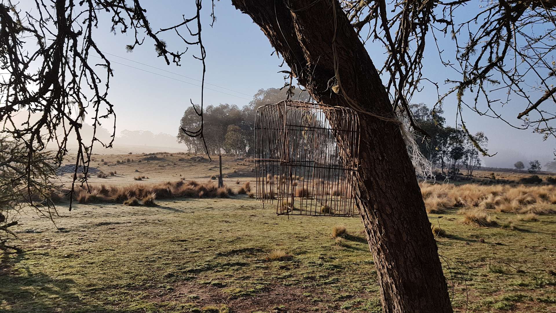 Badja Forest Farm - Hipcamp in Countegany, New South Wales