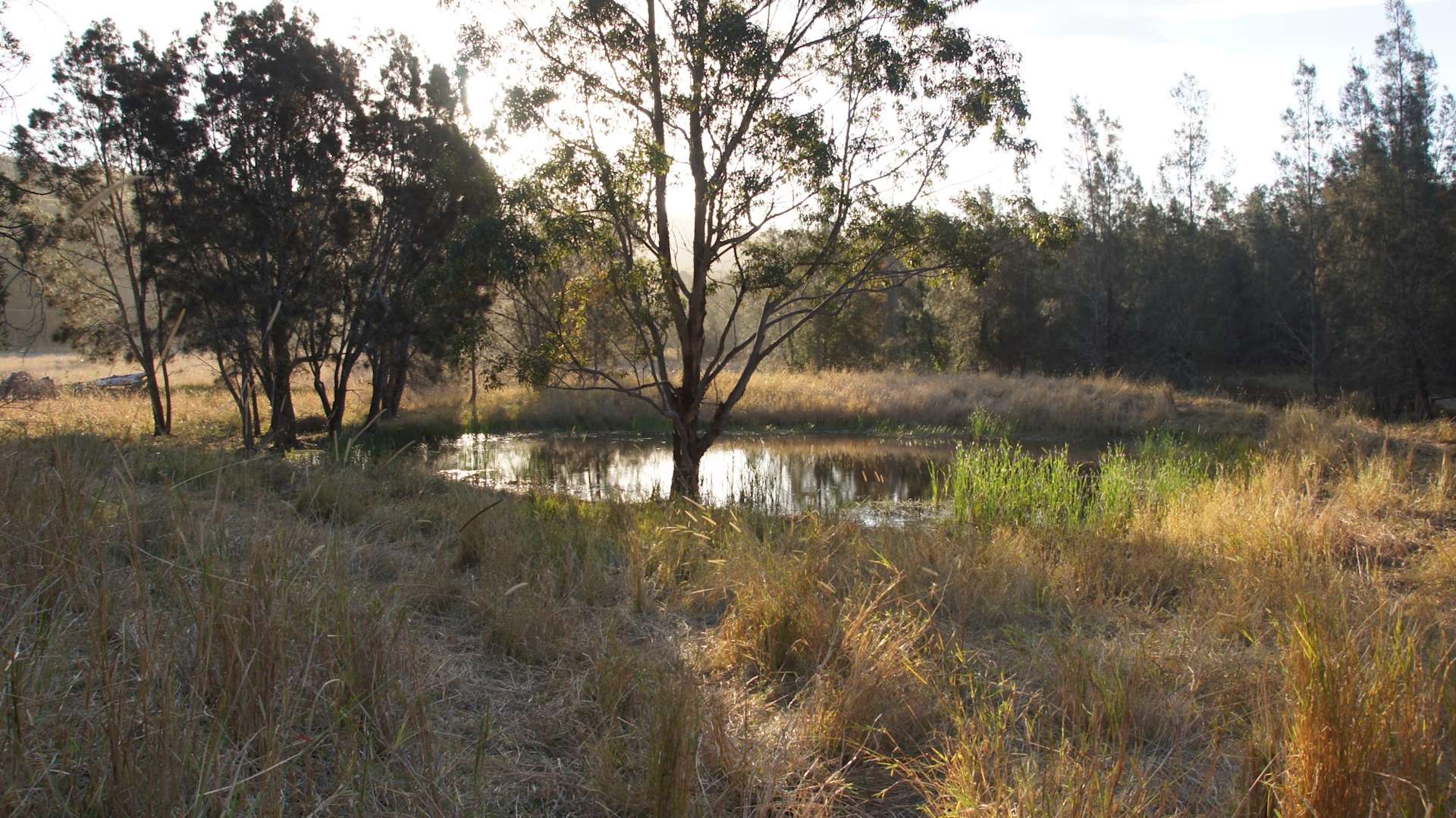 Bonnie's Place - Hipcamp in Whoota, New South Wales