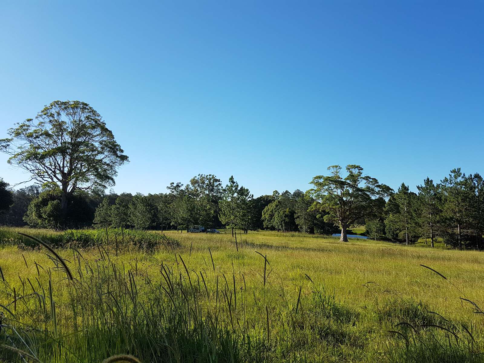 Mid North Coast Tranquil Farm Stay - Hipcamp in Frederickton, New South ...