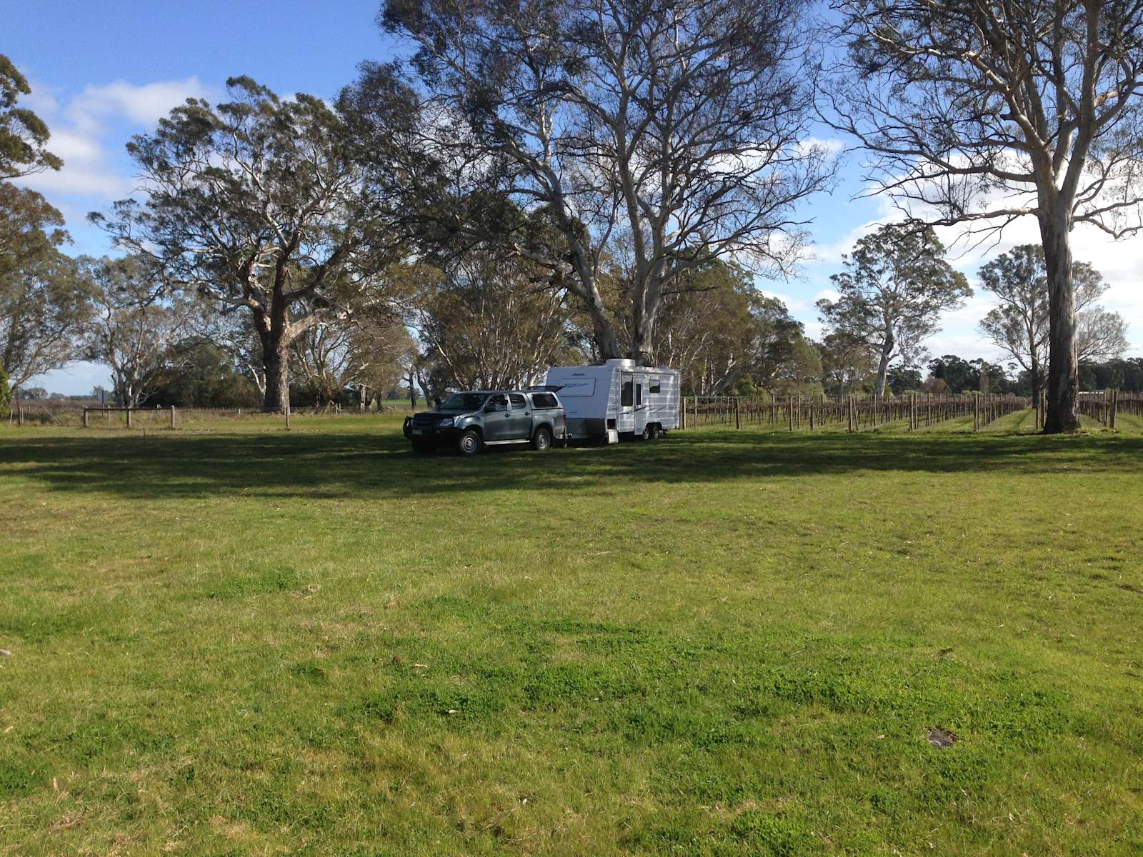 Coonawarra Bush Holiday Park - Hipcamp in Comaum, South Australia