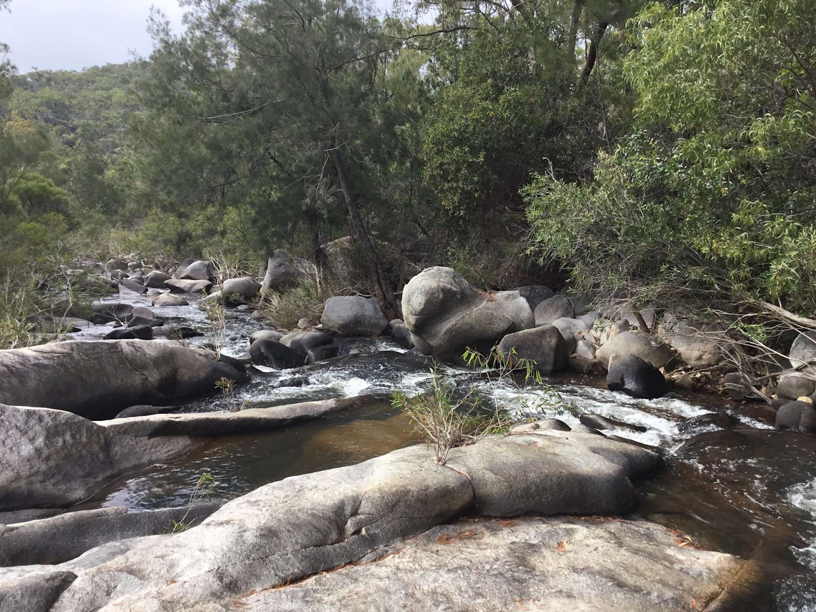 Walsh River Wildlife & Birdwatching Retreat - Hipcamp in Watsonville ...