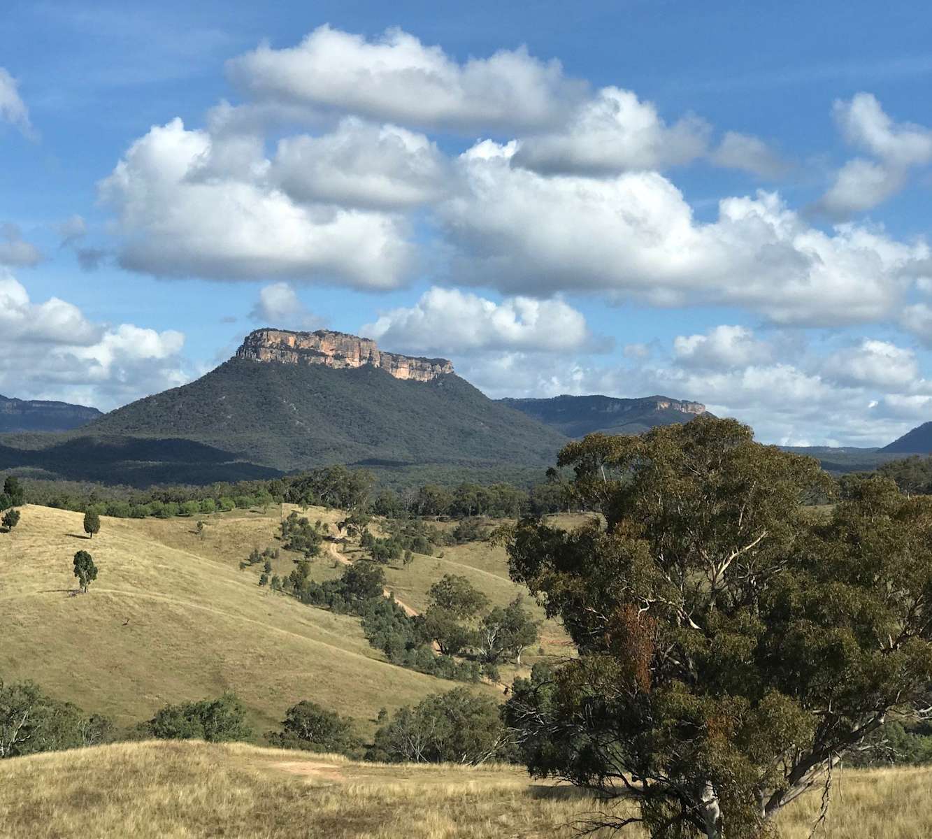 Dalli's Campground - Hipcamp in Capertee, New South Wales